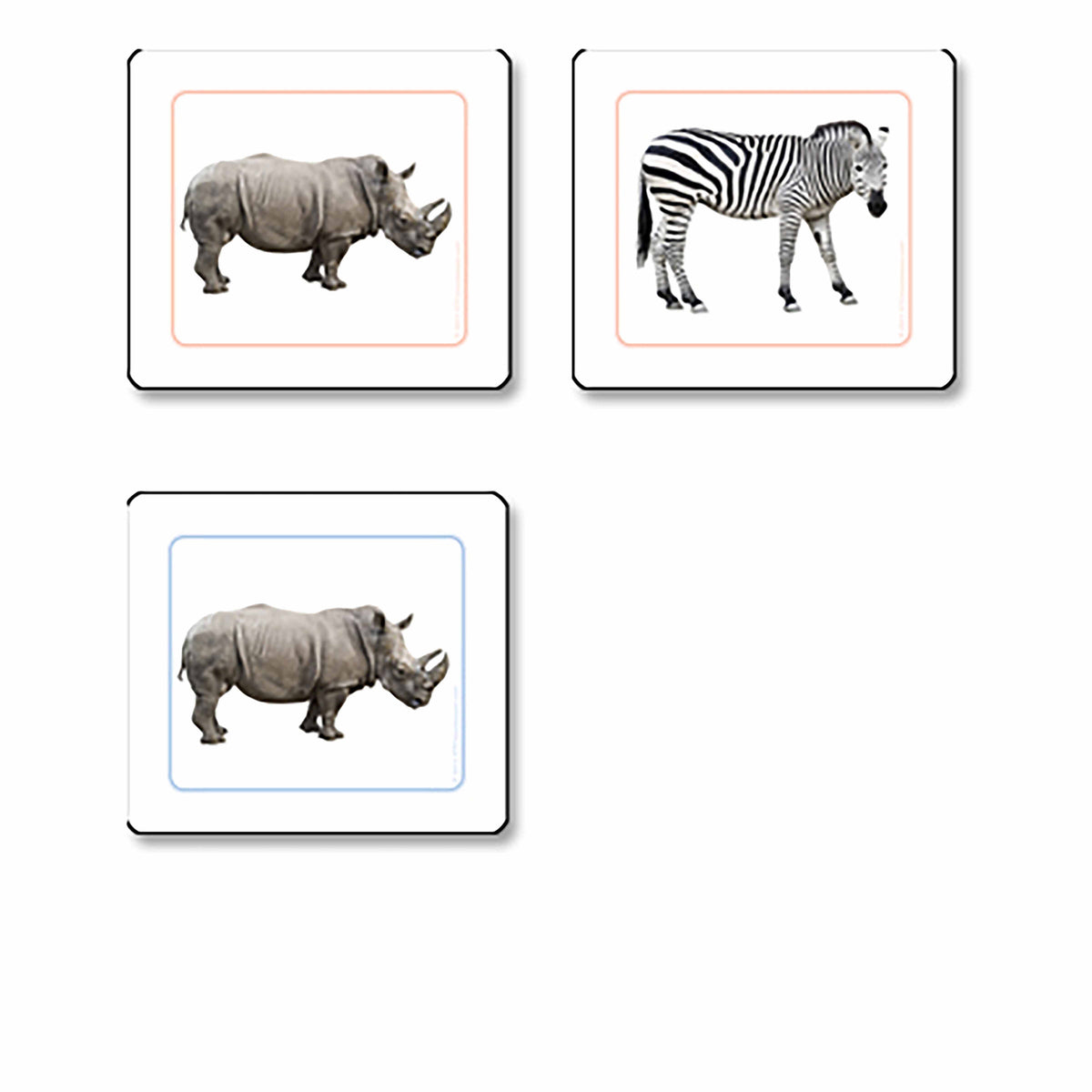 African Animals Matching Cards – MontessoriMaterialsAustralia