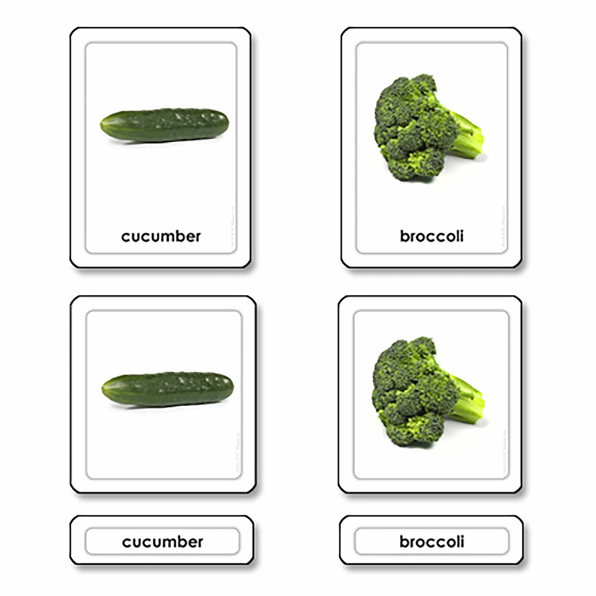 Vegetables 3 Part Cards – MontessoriMaterialsAustralia