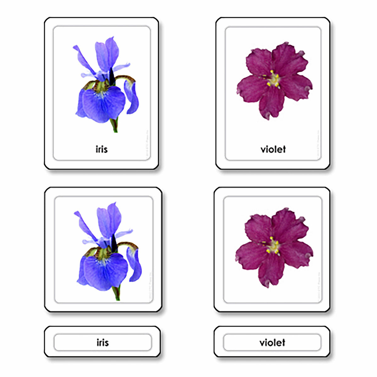 Flowers 3 Part Cards – MontessoriMaterialsAustralia