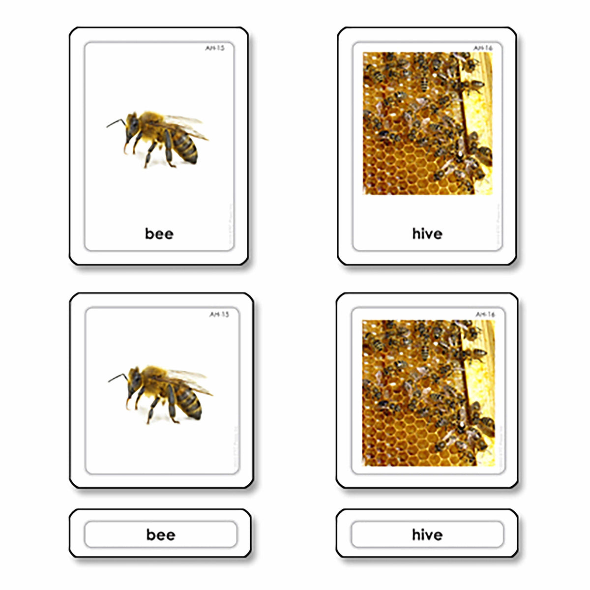 Animal Homes 3 Part Cards – MontessoriMaterialsAustralia