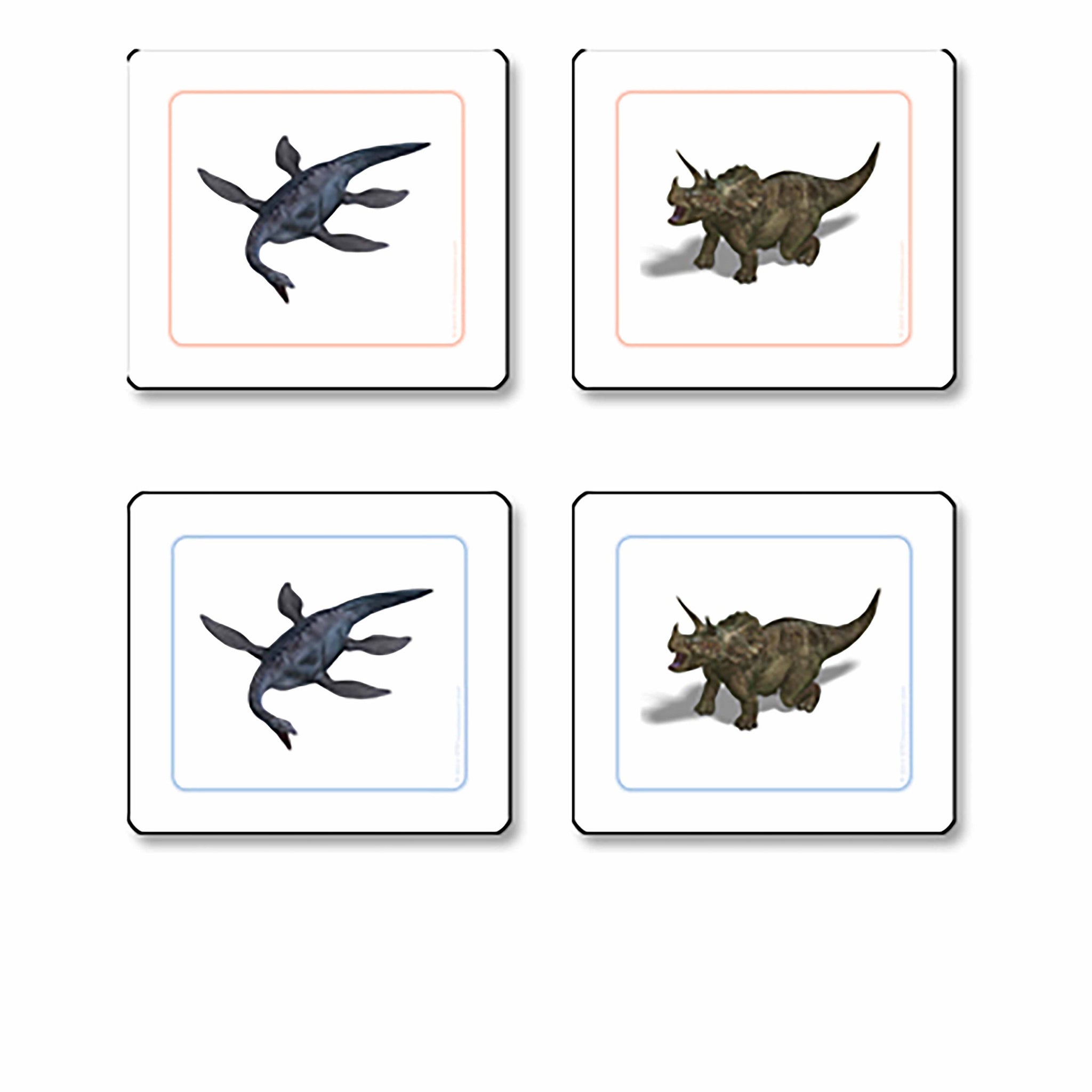 Dinosaur Matching Cards – MontessoriMaterialsAustralia