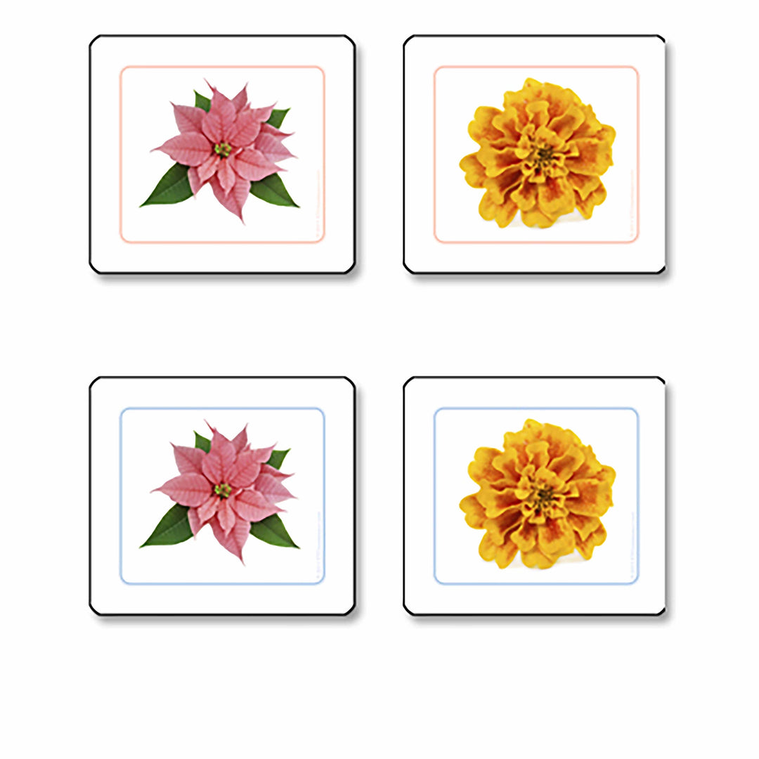 Flowers Matching Cards – MontessoriMaterialsAustralia