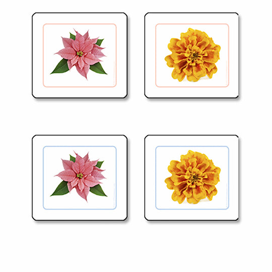 Flowers Matching Cards – MontessoriMaterialsAustralia