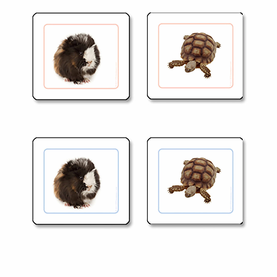 Pets Matching Cards – MontessoriMaterialsAustralia